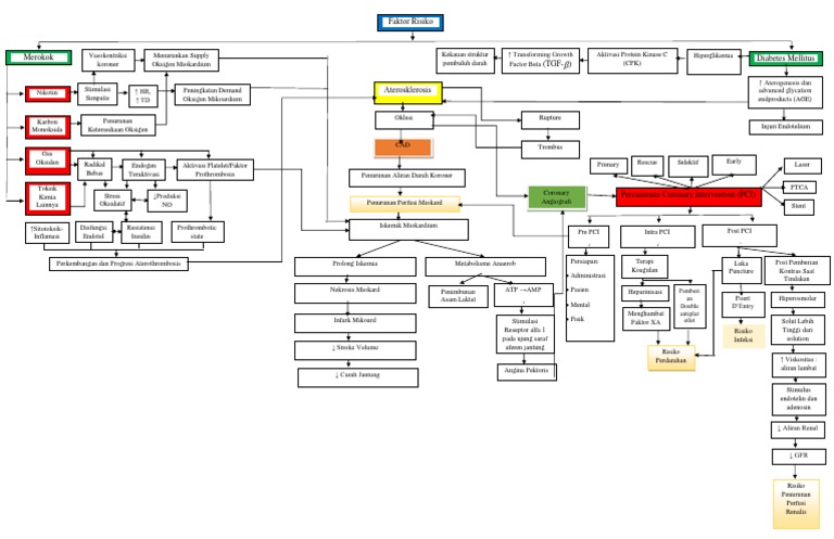 Pathway Pci | PDF