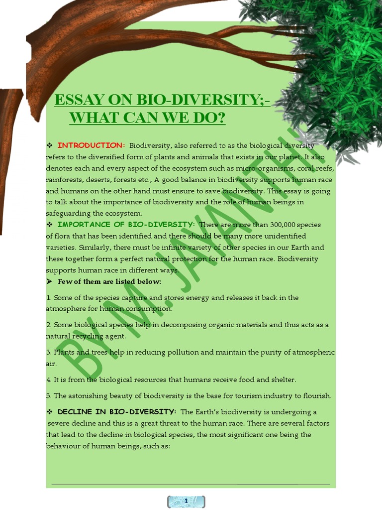 Essay On Bio Diversity - What Can We Do | PDF | Biodiversity ...