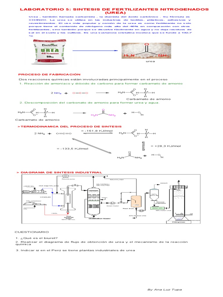 Sintesis de Urea | PDF | Urea | Amoníaco