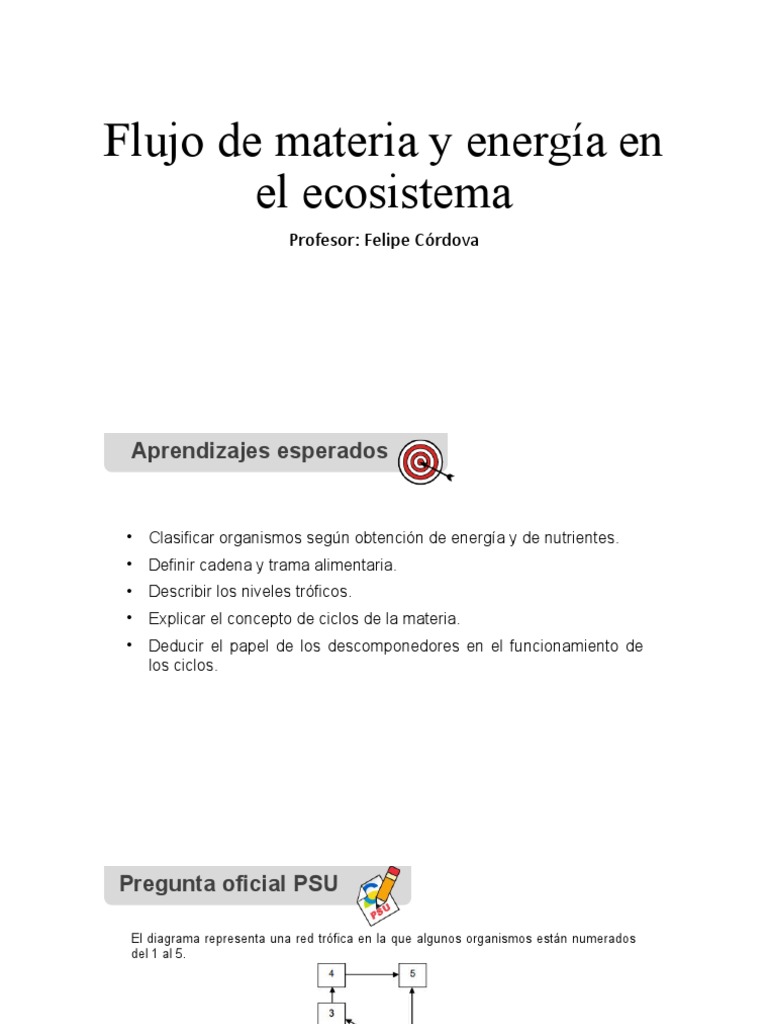 Flujo de energía en ecosistemas | PDF | Red alimentaria | Ecología