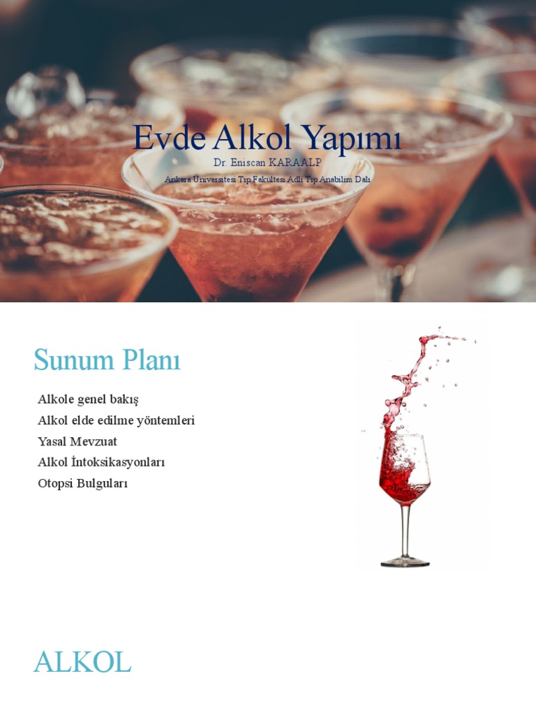 Evde Alkol Yapımı | PDF