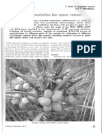 NSIC Seed Variety Catalogue 2023 | PDF | Rice | Organisms