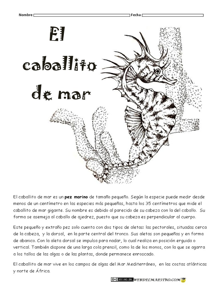 Características del Caballito de Mar | PDF | Zoología