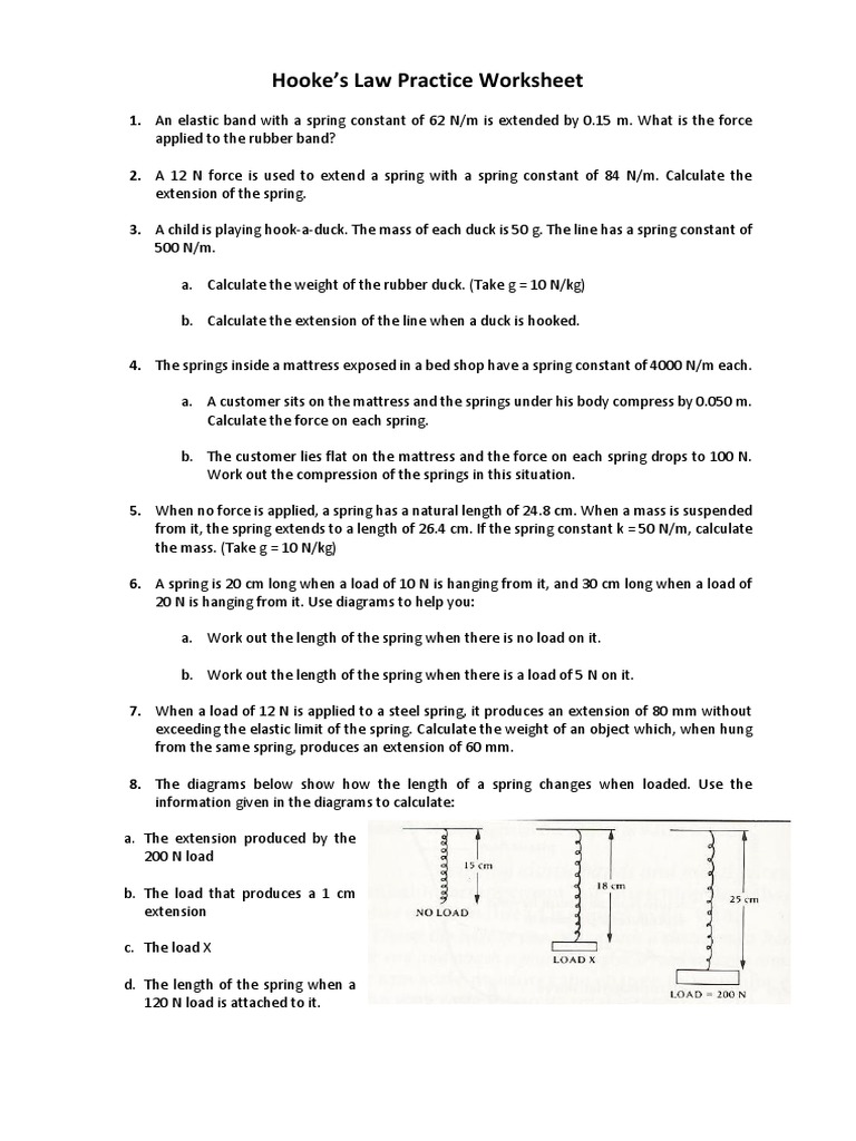 Hookes Law Practice Worksheet | PDF