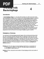 One-Step Growth Curve | PDF | Bacteriophage | Virology