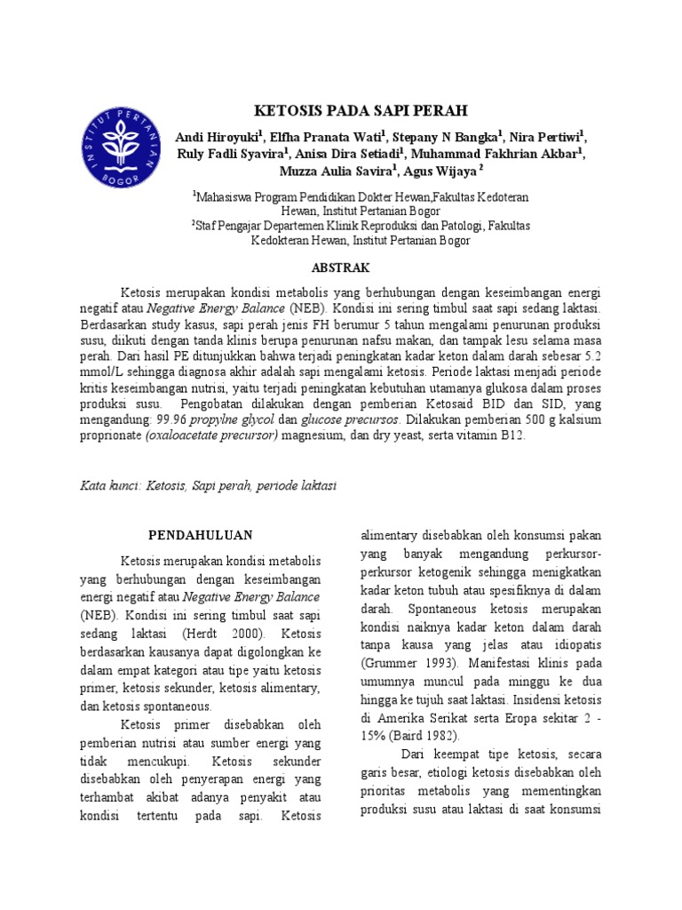 Penanganan Ketosis pada Sapi Perah | PDF