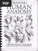 Morpho Simplified Forms Anatomy For Artists | PDF