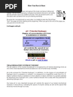 Springer Basic Reference Style Guide | PDF | Science & Mathematics