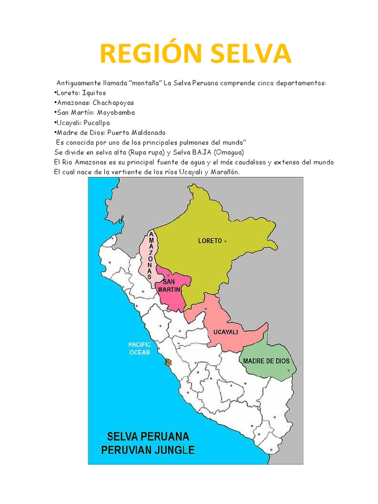 Mapa y características de la selva peruana | PDF | Alimentos