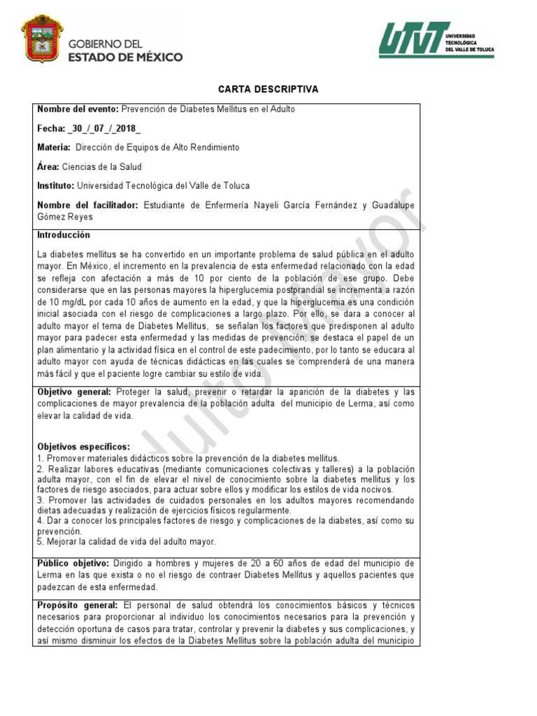 Carta de Evelin Diabetes | PDF | Diabetes | Dieta