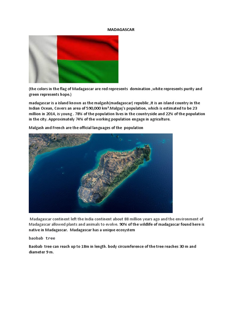 Madagascar and Japan | PDF | Madagascar | Ramen