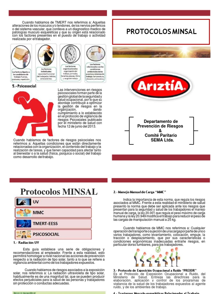 Protocolos Minsal | PDF | Seguridad y salud ocupacional | Ciencias de la Salud