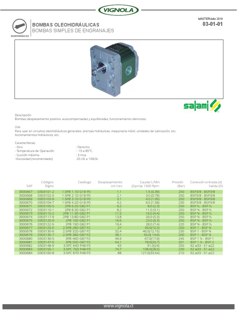 Bombas de Engranaje Simple | PDF