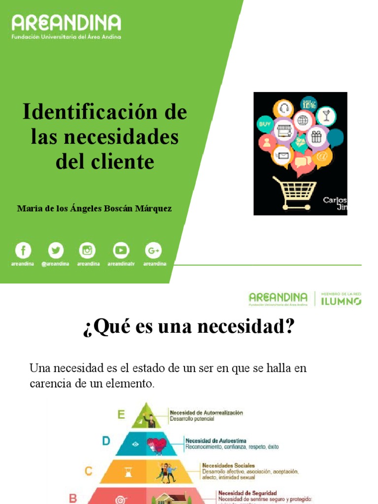 Necesidades de Los Clientes | PDF | Cliente | Economias