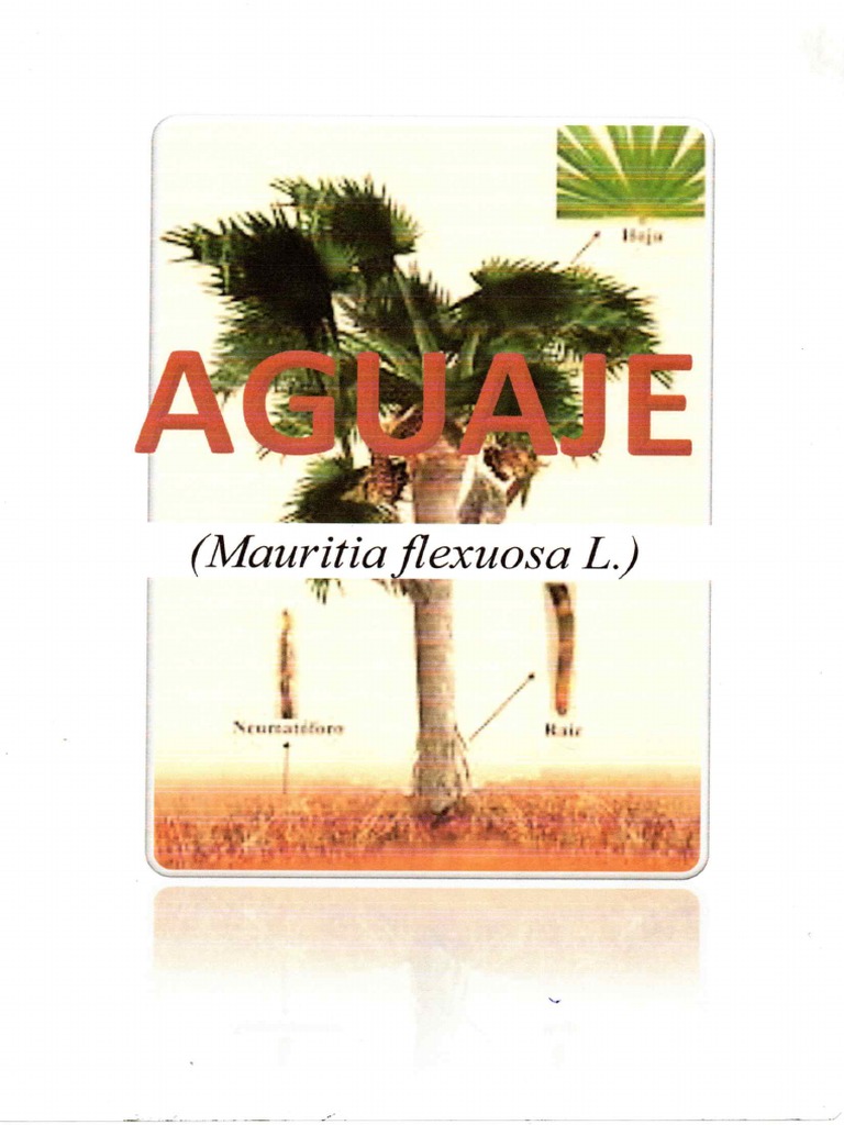 AGUAJE | PDF