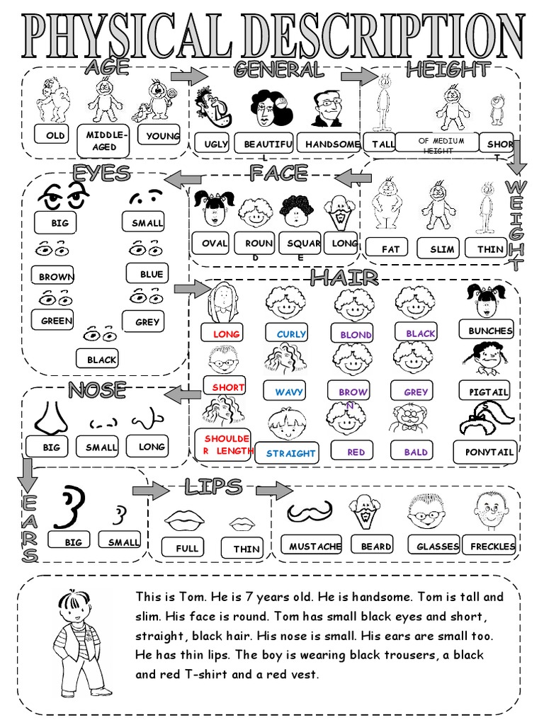 Pictionary Physical Description | PDF