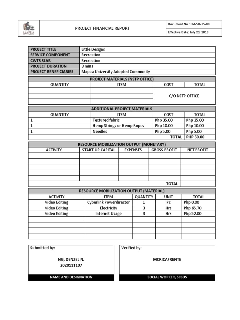 Project Financial Report | PDF