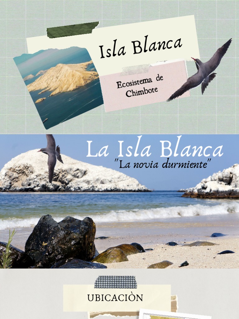Ecosistema y fauna de Isla Blanca Chimbote | PDF | Clima | Entorno natural