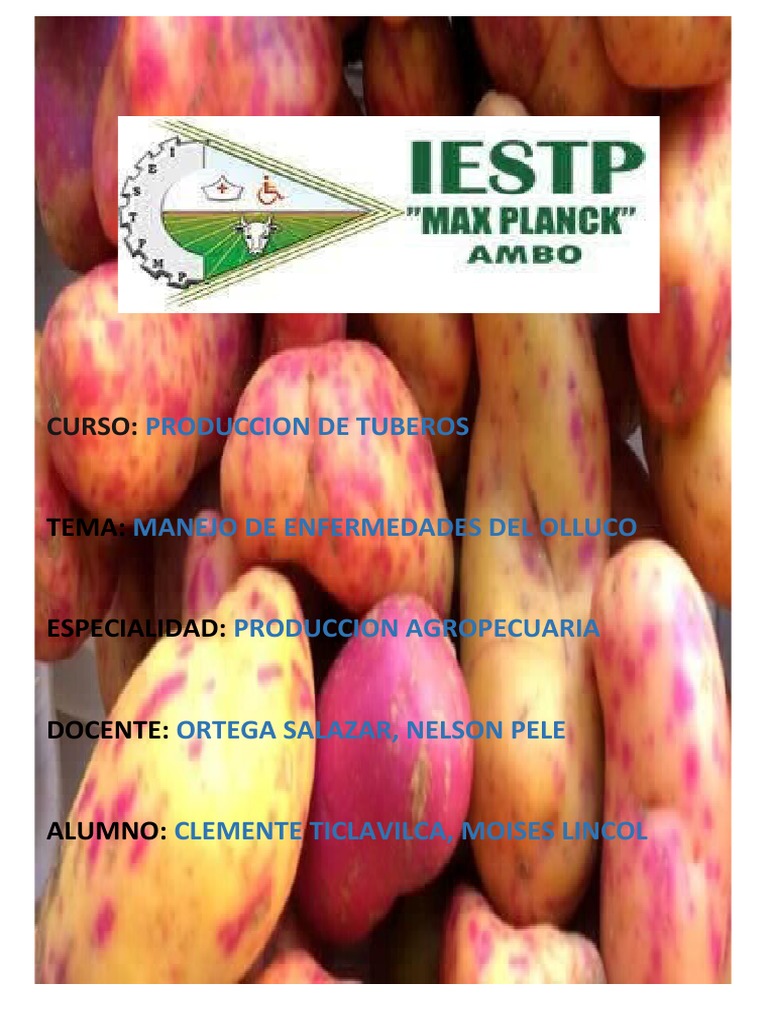 Enfermedades en Olluco | PDF