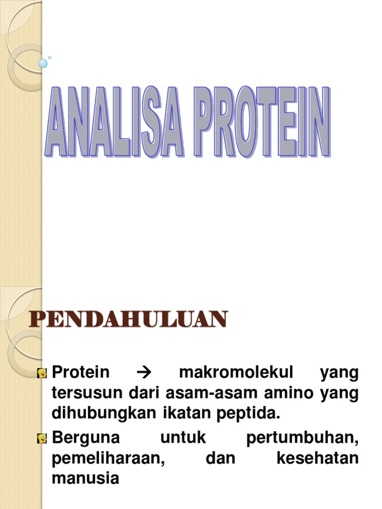 Analisis Kadar Protein | PDF