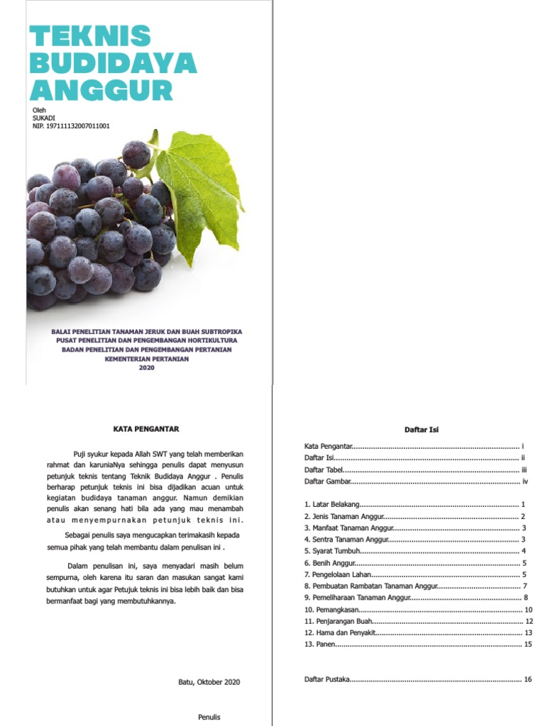 Panduan Budidaya Tanaman Anggur | PDF | Griya & Taman