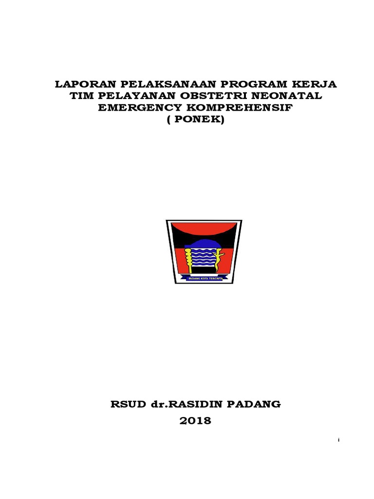 Laporan Evaluasi Program Kerja Ponek | PDF