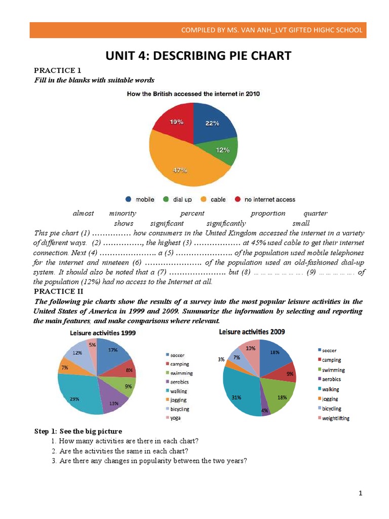 Pie Chart Analysis of Diet and Activities | PDF | Diet (Nutrition ...
