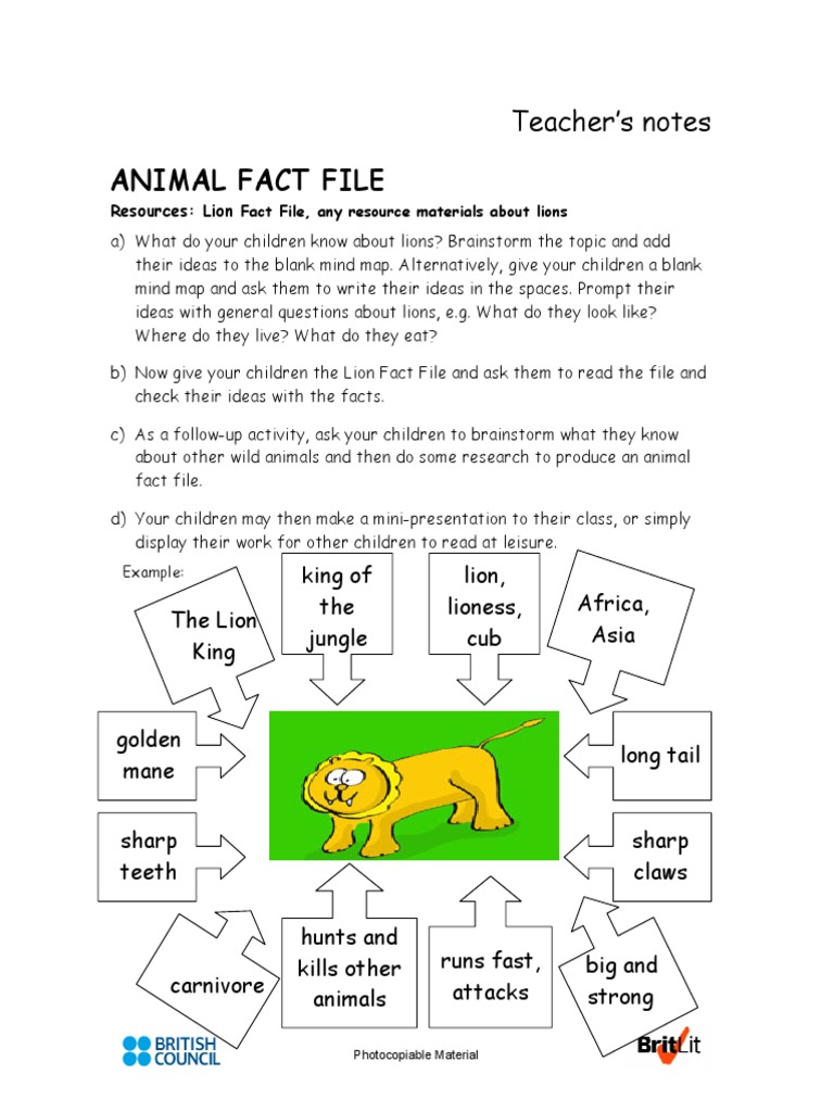 Animal Fact File: Teacher's Notes | PDF | Lion | Zoology