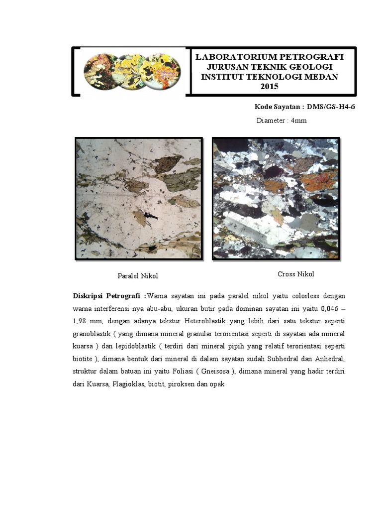 Petrografi Gneis | PDF