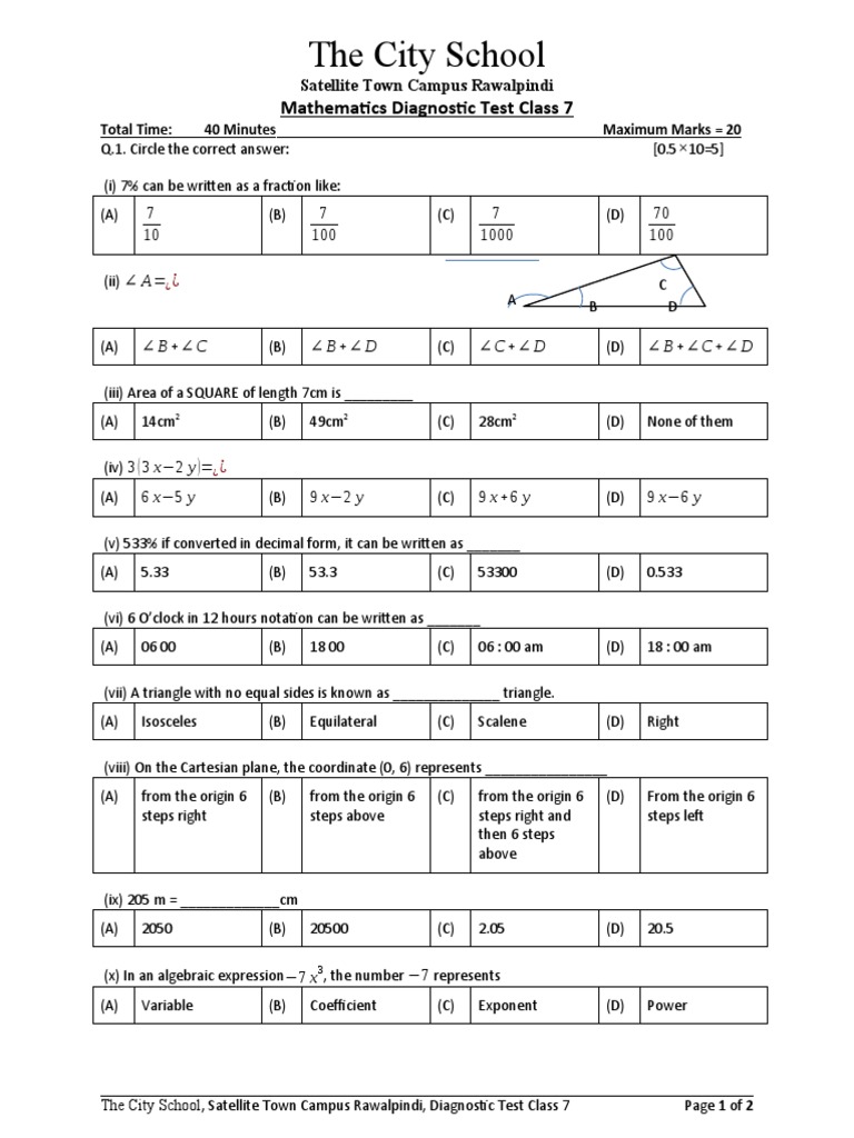 Class 7 Mathematics Diagnostic Test | PDF | Triangle | Area