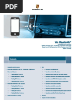 BGVRP - Restricted Vehicles | PDF | Land Vehicles | Automotive Industry