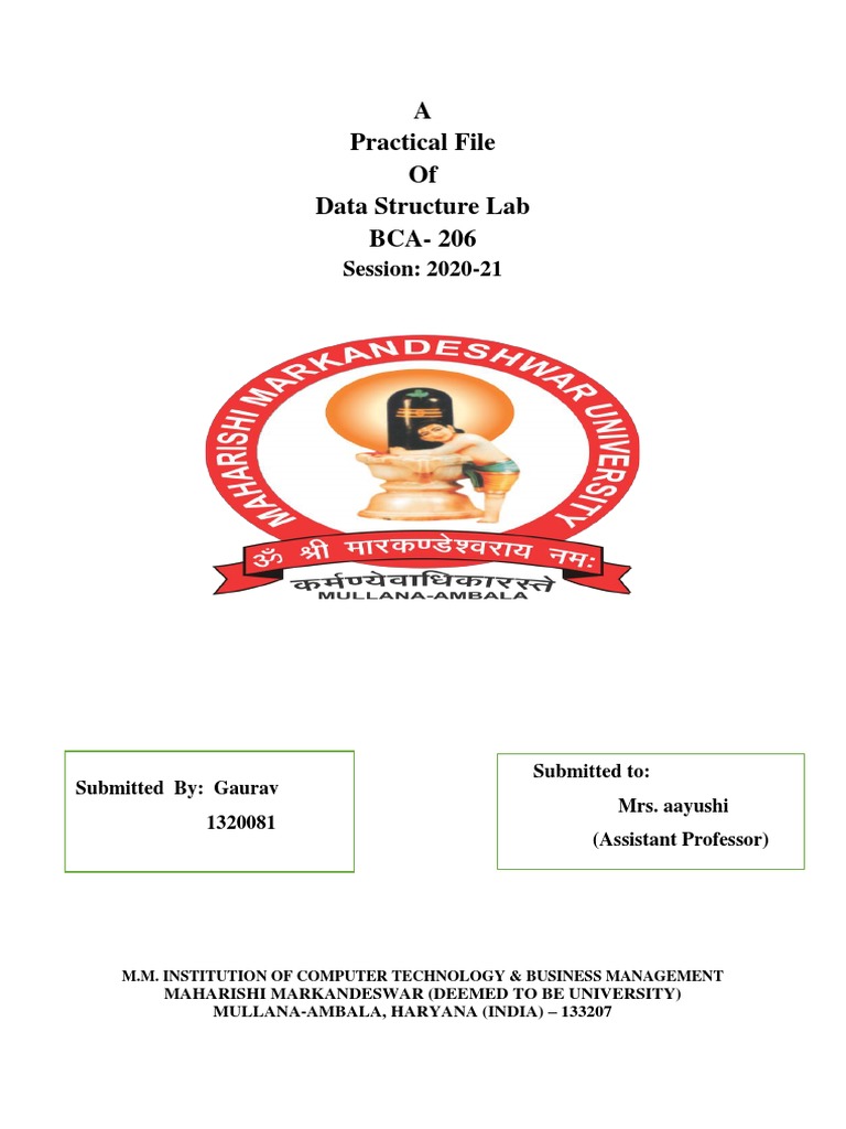 A Practical File of Data Structure Lab BCA-206: Session: 2020-21 | PDF ...