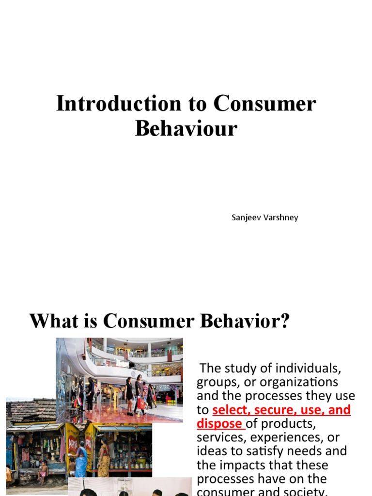 Understanding Consumer Behavior Basics | PDF | Behavior | Marketing