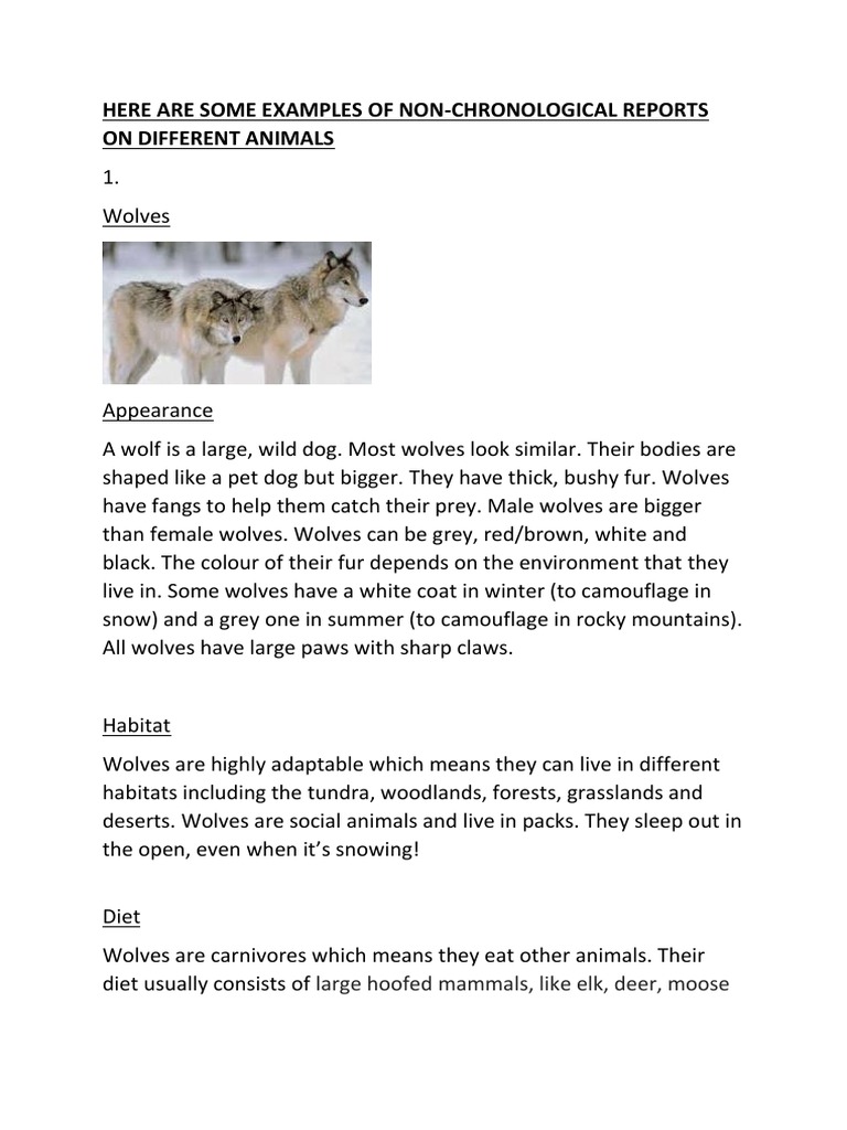 Non Chron Reports Examples Y6 | PDF | Giant Panda | Pig