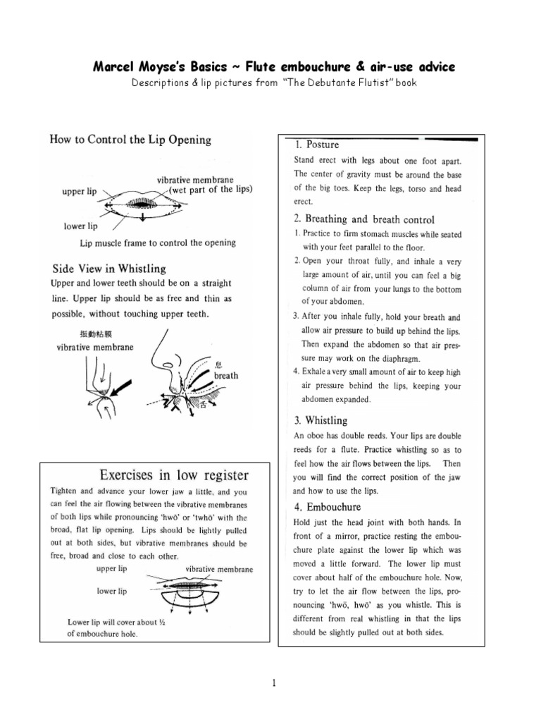 Flute Embouchure & Air Tips | PDF | Art