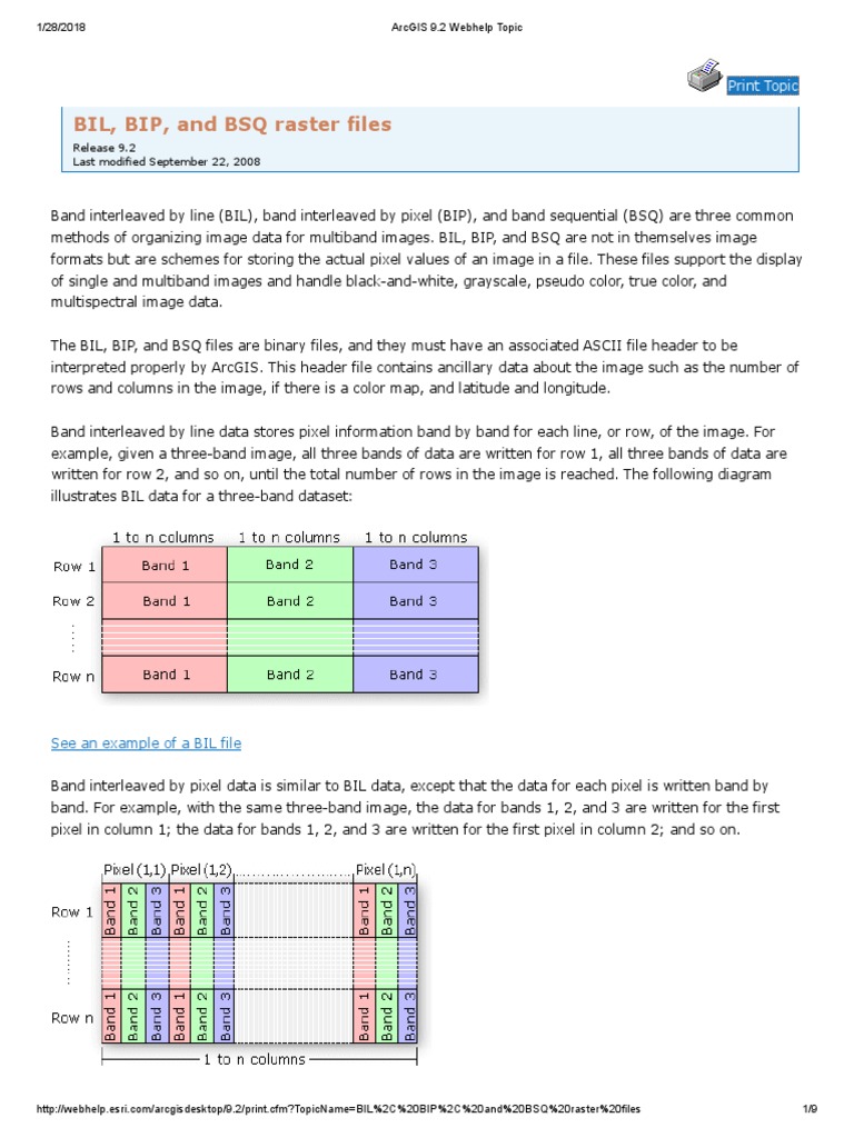 BIL, BIP, and BSQ File Formats Explained | PDF | Computing | Computer ...