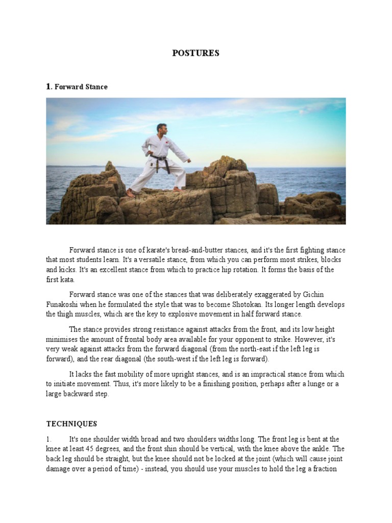 Forward Stance - Karate's Bread-and-Butter Fighting Stance | PDF