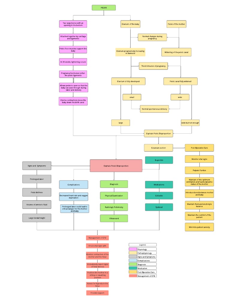 CPD Concept Map | PDF | Childbirth | Pelvis