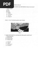 Soalan Psv-Tahun 4 | PDF