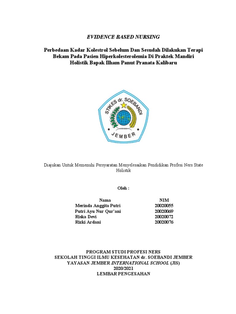 MIni Riset Holistik | PDF