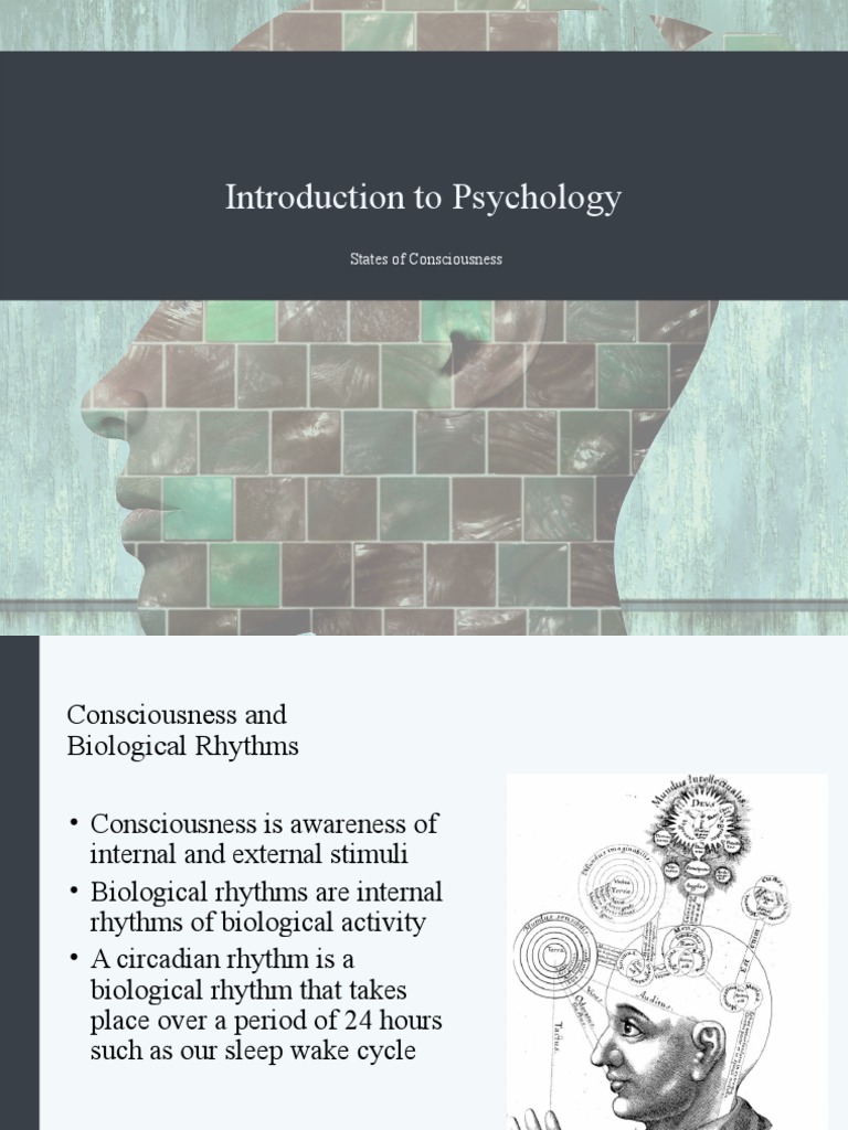 Introduction To Psychology: States of Consciousness | PDF | Sleep ...