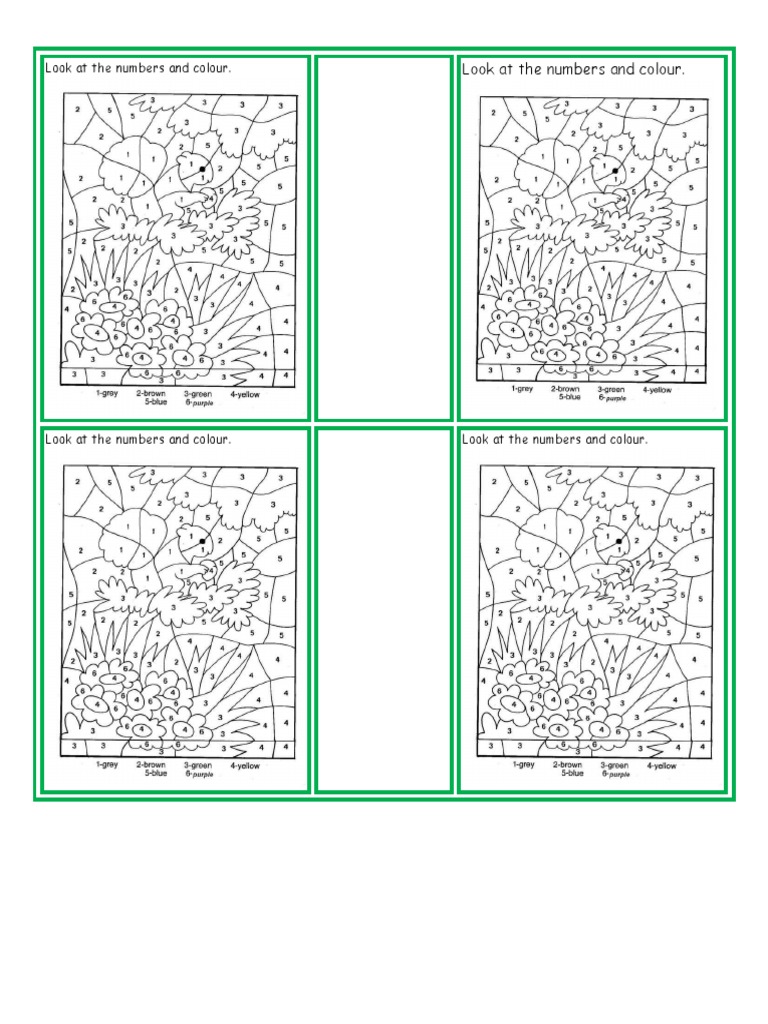 Look at The Numbers and Colour | PDF
