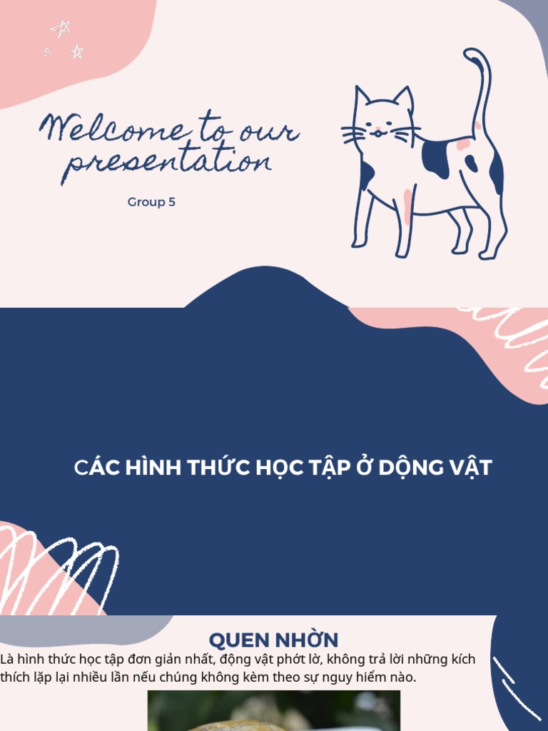 Welcome To Our Presentation | PDF