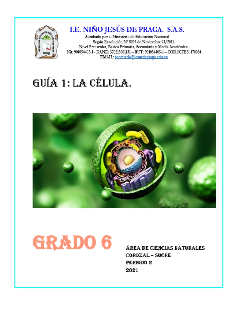 GUIA 1. LA CELULA - Final | PDF | Biología Celular) | Plantas