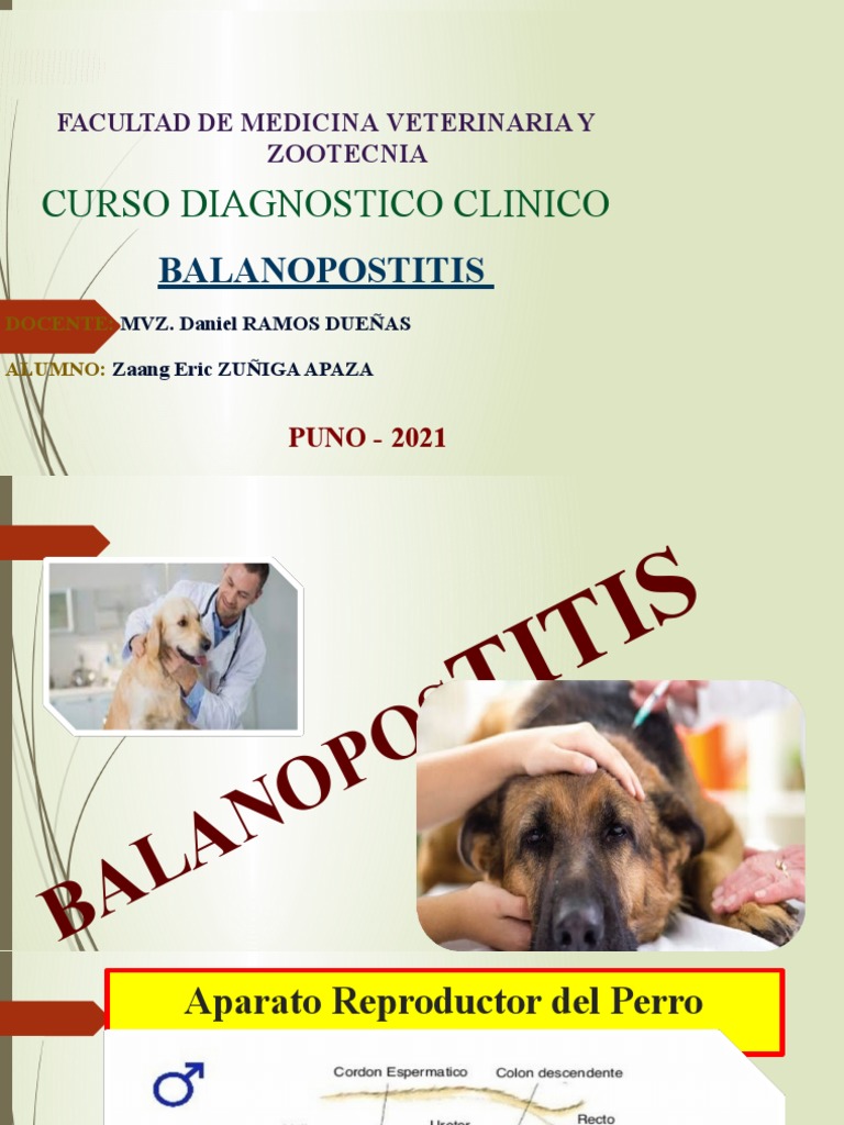 Balanopostitis | PDF | Epidemiología | Medicina