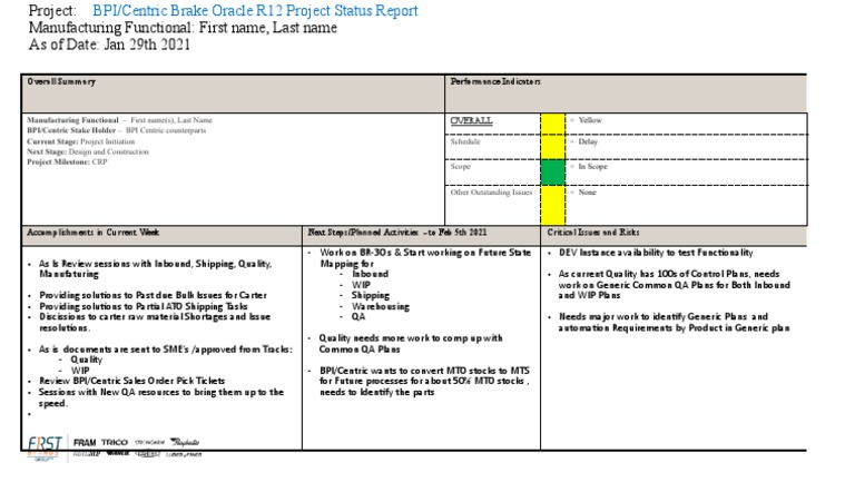Project Management Functional Area Weekly Status Report Template | PDF ...