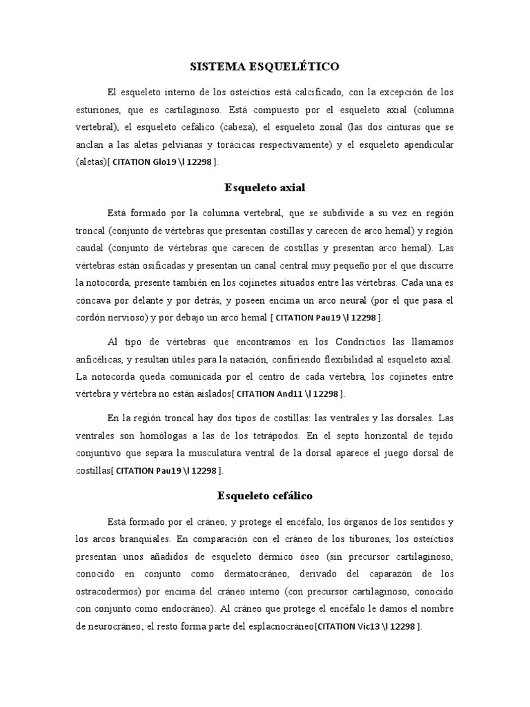 Esqueleto de los Peces Óseos | PDF | Sistema esquelético | Anatomía