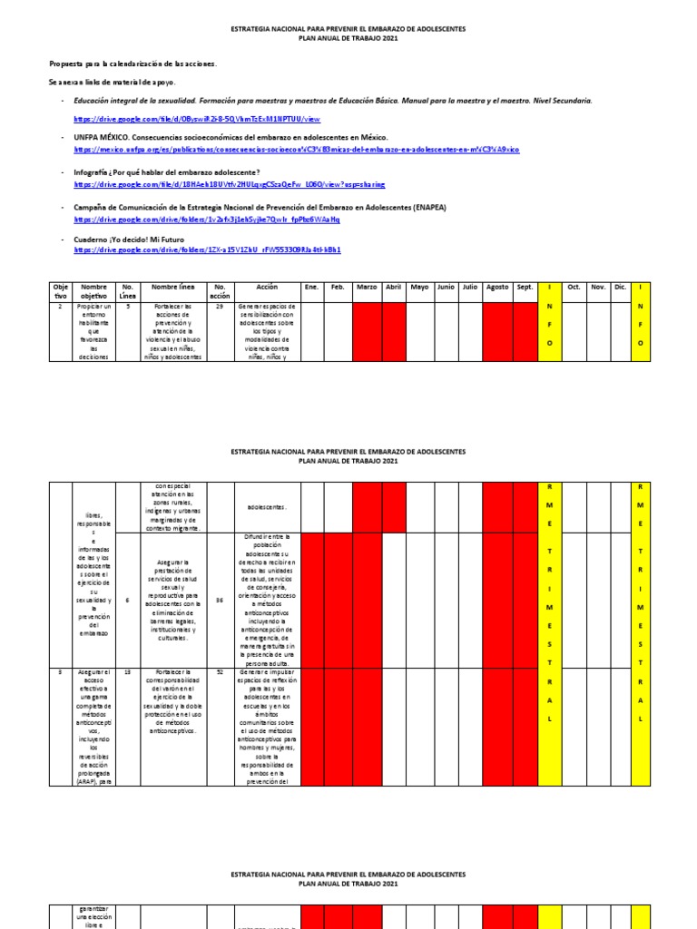 Plan Anual de Trabajo (ENAPEA) 2021 | PDF | Control de la natalidad