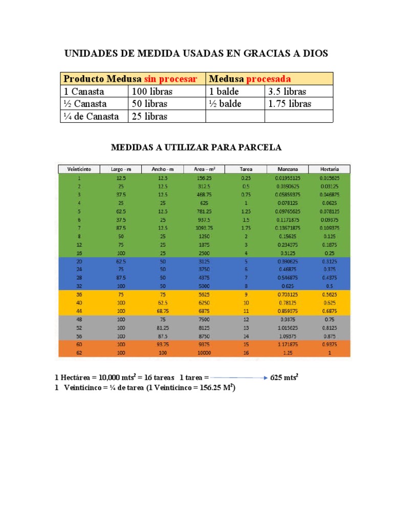 Medidas Metricas y de Peso | PDF