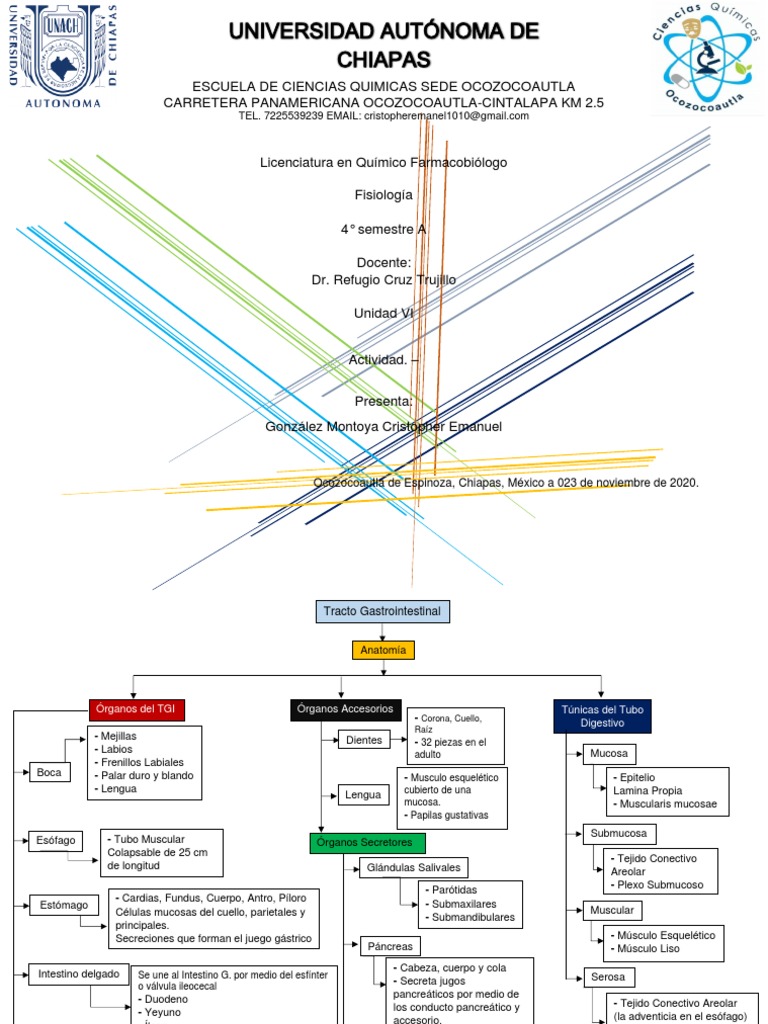Mapa Conceptual TGI | PDF | Digestión | Tracto gastrointestinal